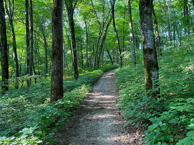 Forestville/Mystery Cave State Park 6