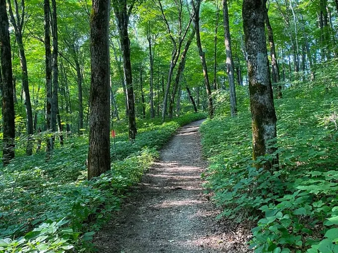 Forestville/Mystery Cave State Park 6