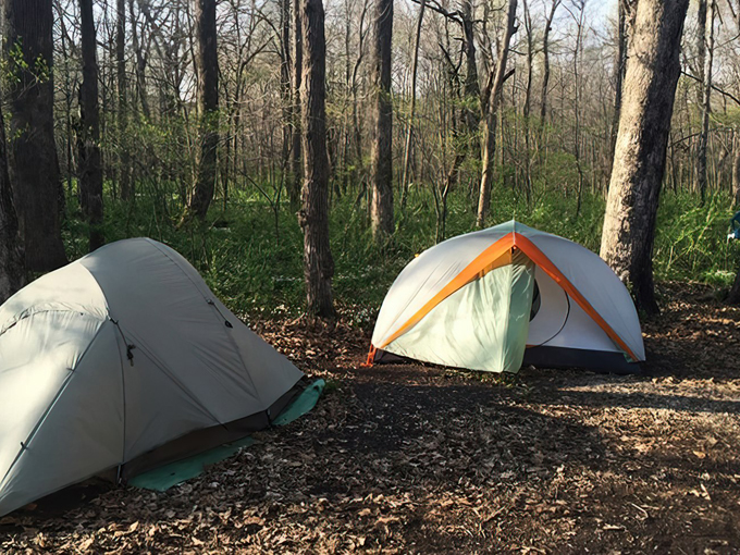 Forestville/Mystery Cave State Park 7