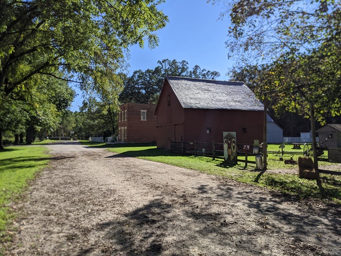 forestville at forestville state park 5