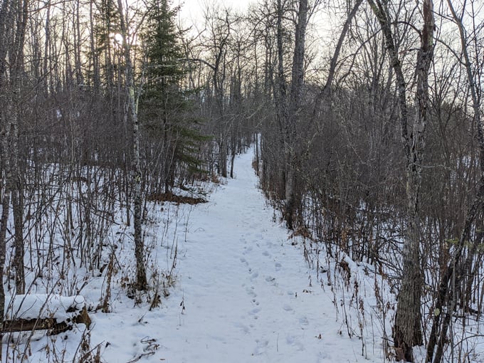 Franz Jevne State Park 6