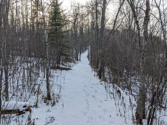 Franz Jevne State Park 6