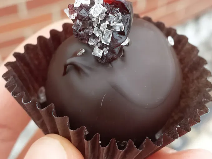 Gail Ambrosius Chocolatier 5