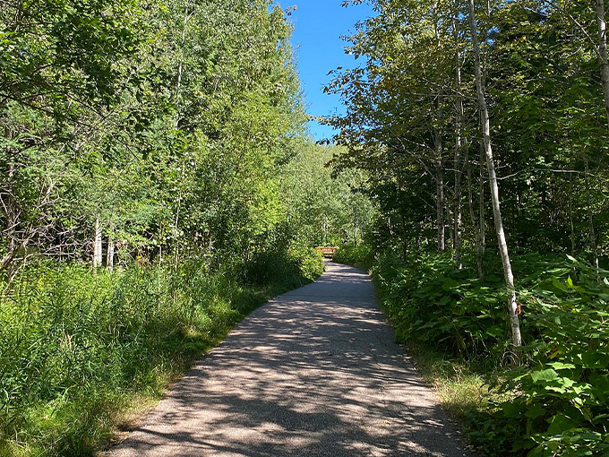 Gooseberry Falls State Park 5