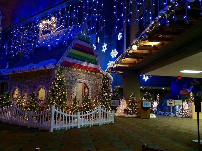 Great Wolf Lodge Water Park 7