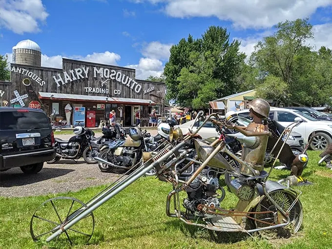 Hairy Mosquito Trading Company 1