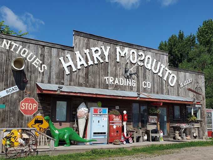 hairy mosquito trading company 1
