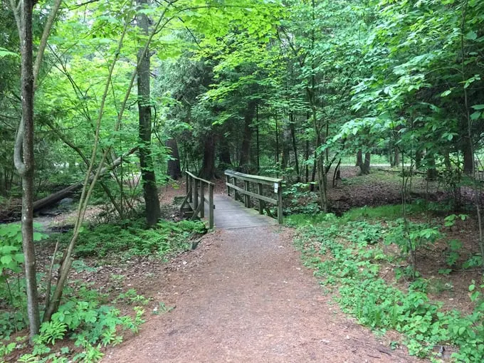 harrisville 8