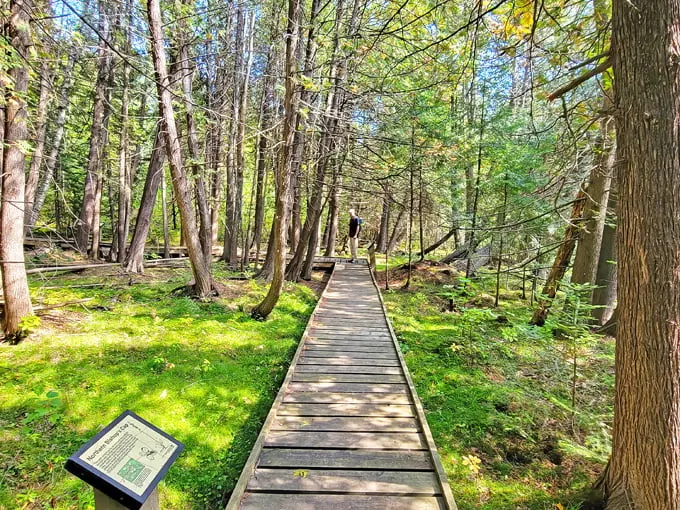 Hayes Lake State Park 4