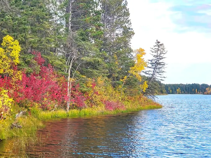 Hayes Lake State Park 8