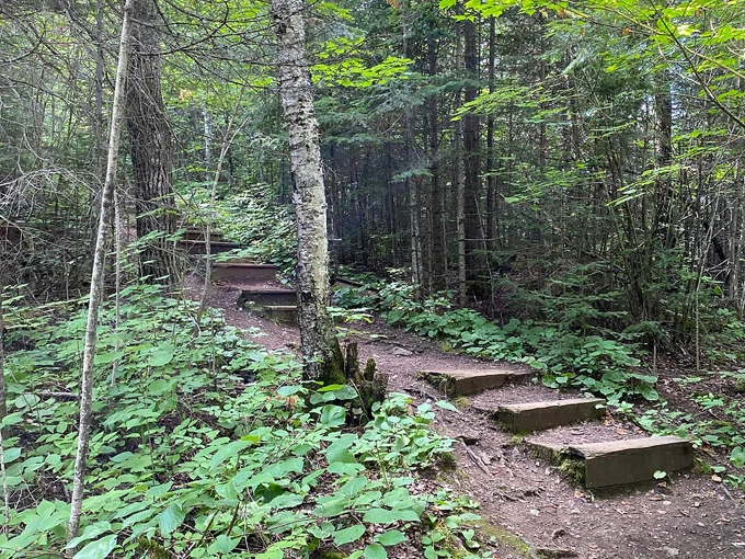 honeymoon bluff trail 3