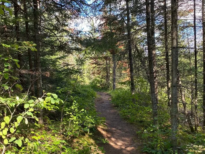 honeymoon bluff trail 7
