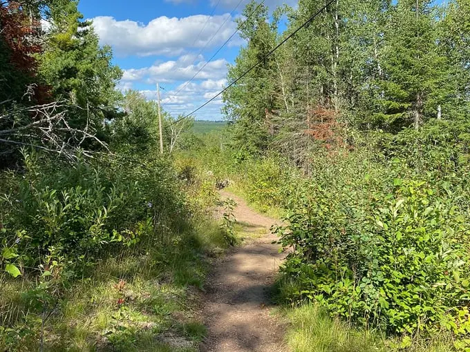 honeymoon bluff trail 8