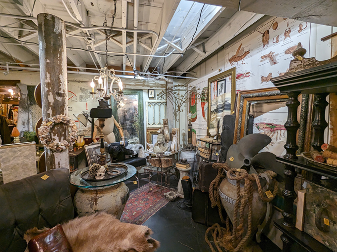 hunt and gather 5