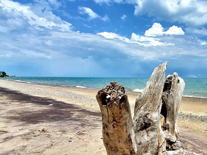 Illinois Beach State Park 1
