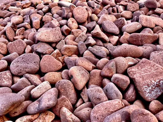 Iona's Beach Scientific & Natural Area (SNA) 2