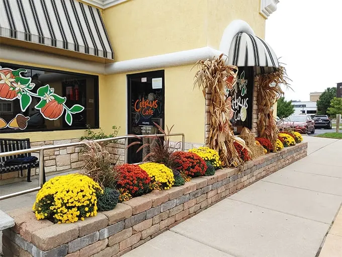 Janesville 6
