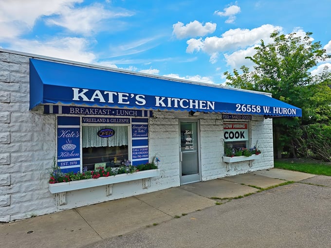 Kate’s Kitchen 1