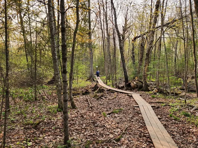 kawishiwi falls trail 1