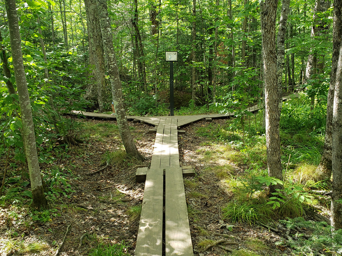 kawishiwi falls trail 2