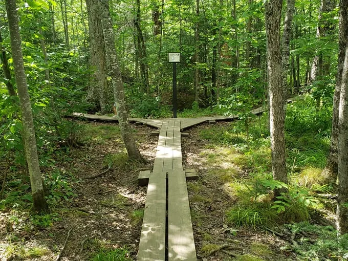 kawishiwi falls trail 2