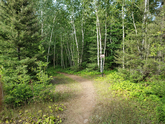 kawishiwi falls trail 3
