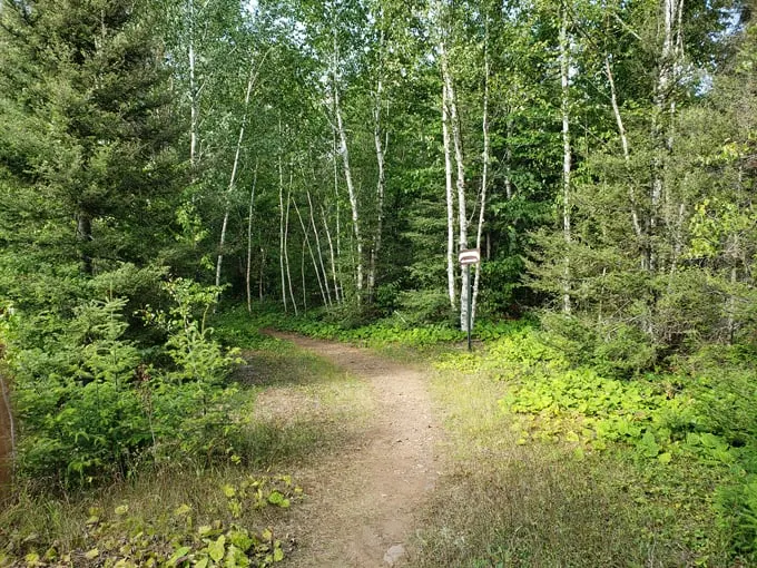 kawishiwi falls trail 3