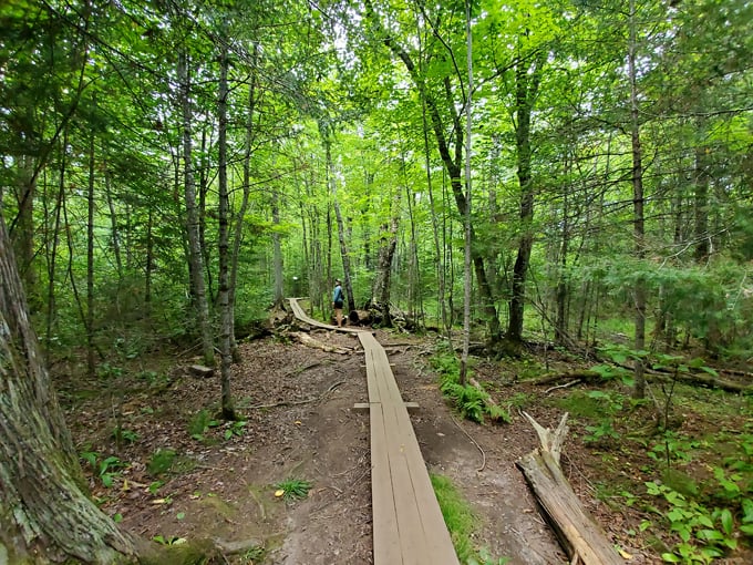 kawishiwi falls trail 4