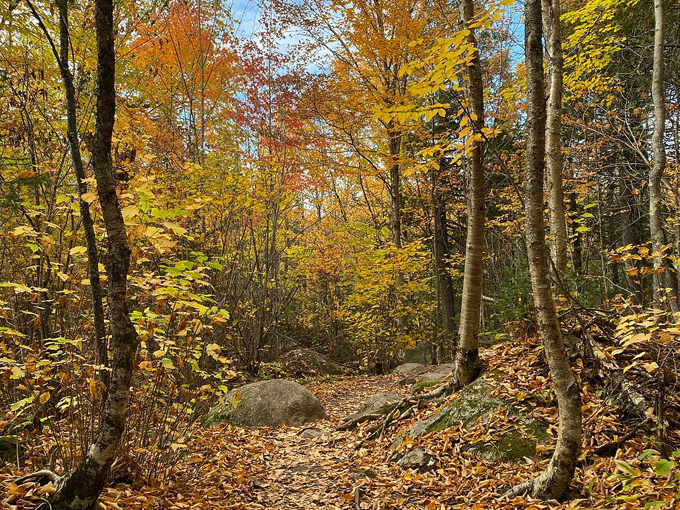 kawishiwi falls trail 6