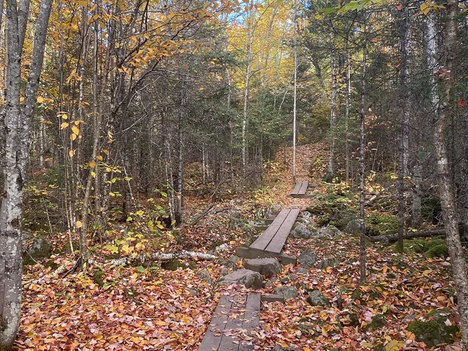 kawishiwi falls trail 8