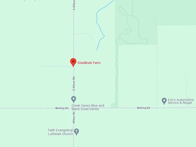 Kiwidinok Farm 10 Map