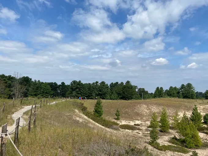 Kohler-Andrae State Park 4