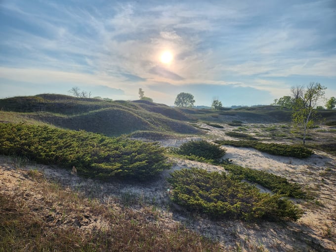 Kohler-Andrae State Park 5