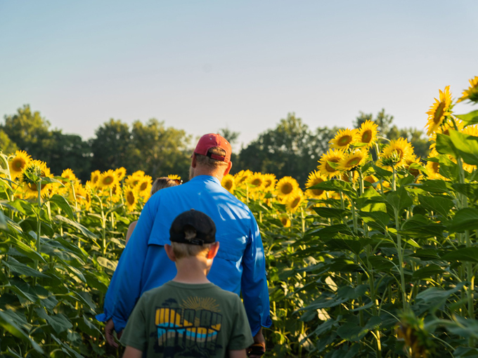 L&A Family Farms 5