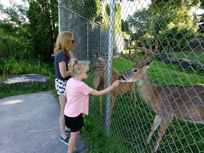 lakeside park 9