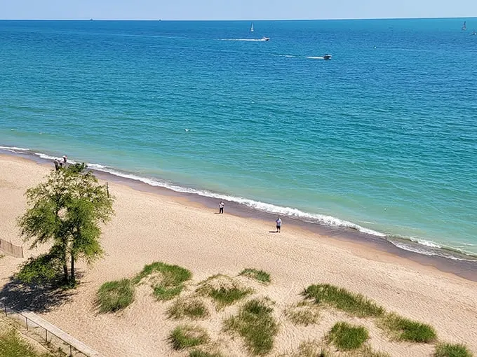 Lighthouse Beach 1