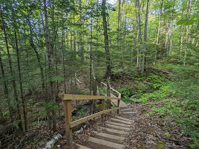 Lost Creek Falls Trail 1