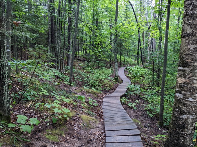 Lost Creek Falls Trail 7
