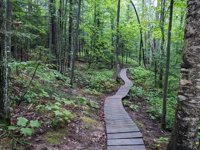 Lost Creek Falls Trail 7