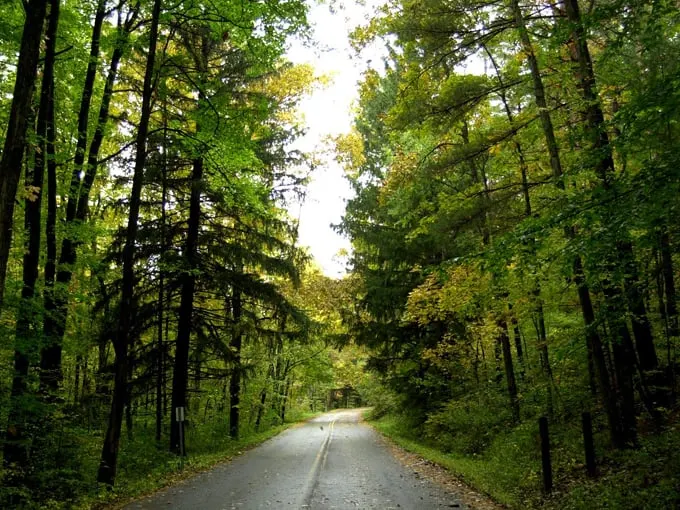 Loudonville 4