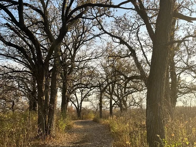 Mazomani Trail 1