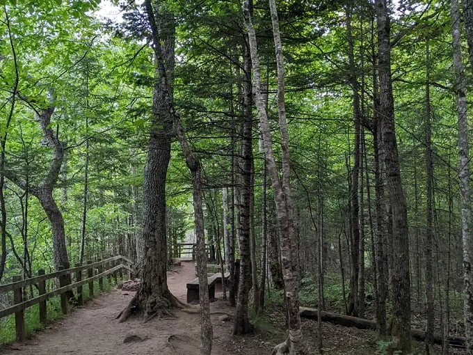 miners falls 7