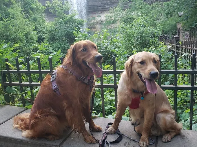 minnehaha falls 8