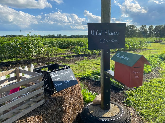 Munsell Farms 6