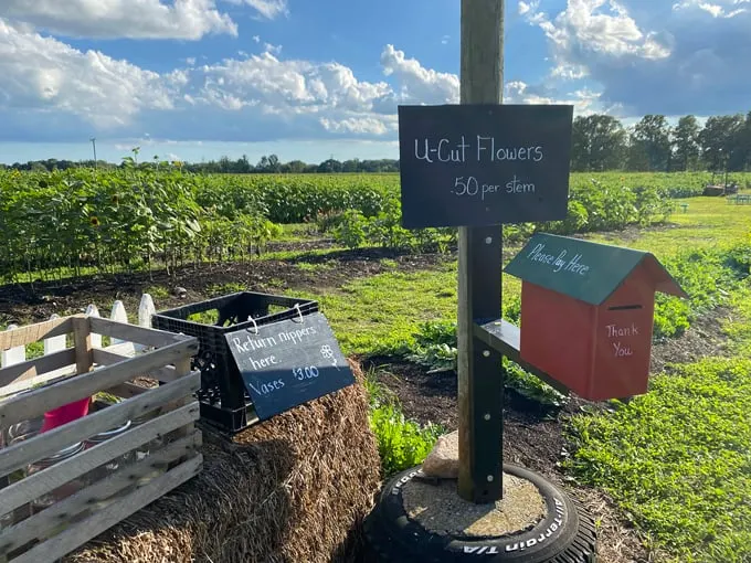 Munsell Farms 6