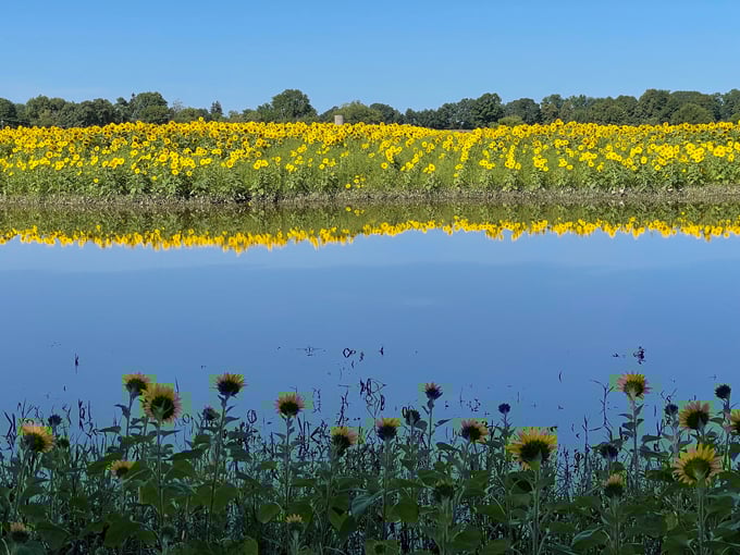 Munsell Farms 9