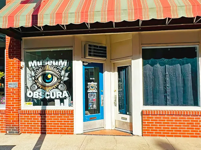 Museum Obscura 1