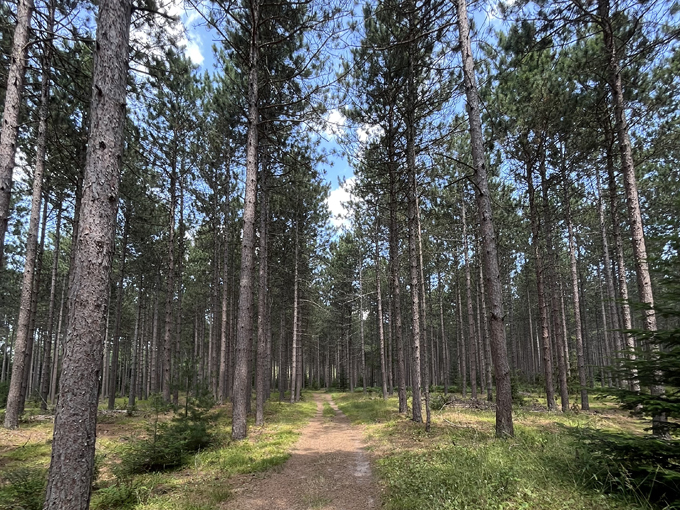 Old Baldy Loop 2