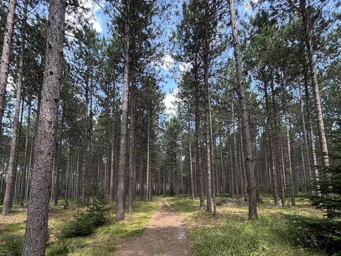 Old Baldy Loop 2
