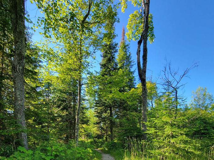 Old Baldy Loop 4